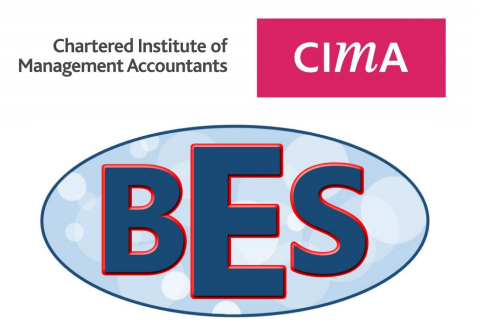 BES Group: Financial Statements Analysis – The CIMA Student